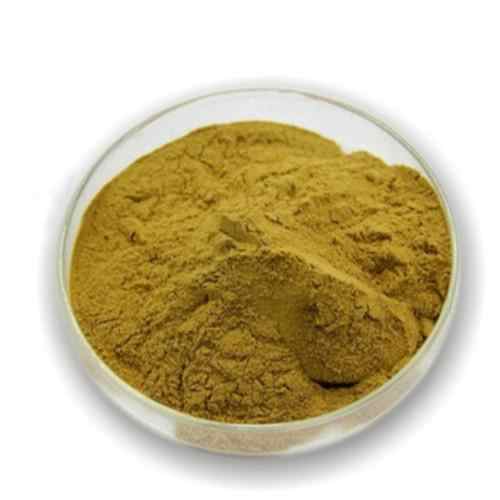Halal Ulva Lactuca Powder - Natural Green Seaweed Extract