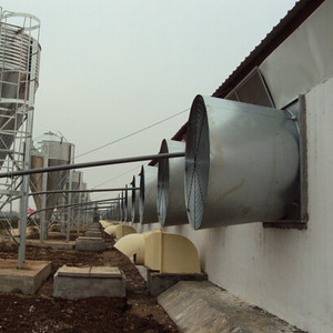Boost Farm Efficiency with Innovative poultry house ventilating system ...