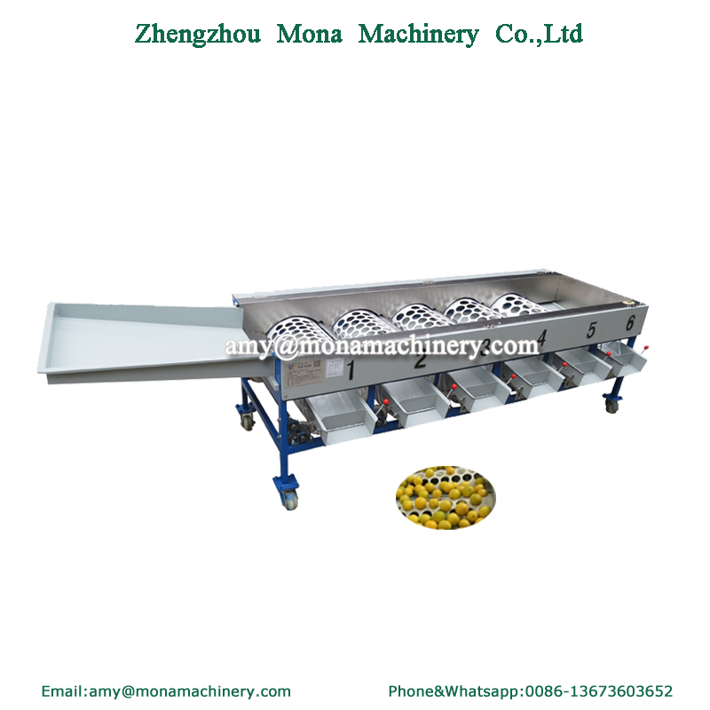 Optimize Your Production with Advanced potato onion grader Solutions