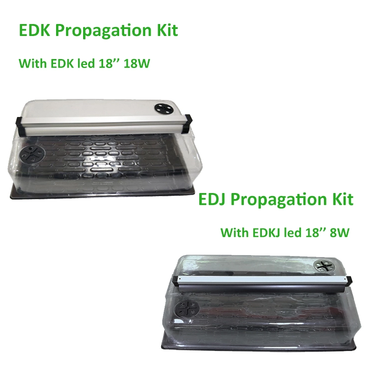 Optimize Growth with Durable barley grass tray for Your Garden Needs