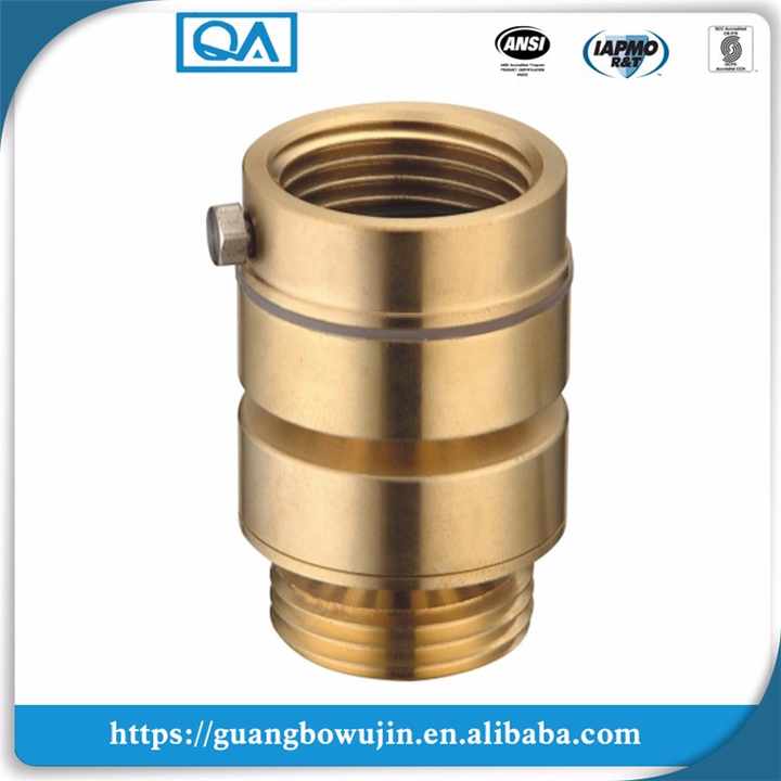 Brass Anti Siphon Vertical Check Valve Pvc,Vertical Check Valve - Buy ...