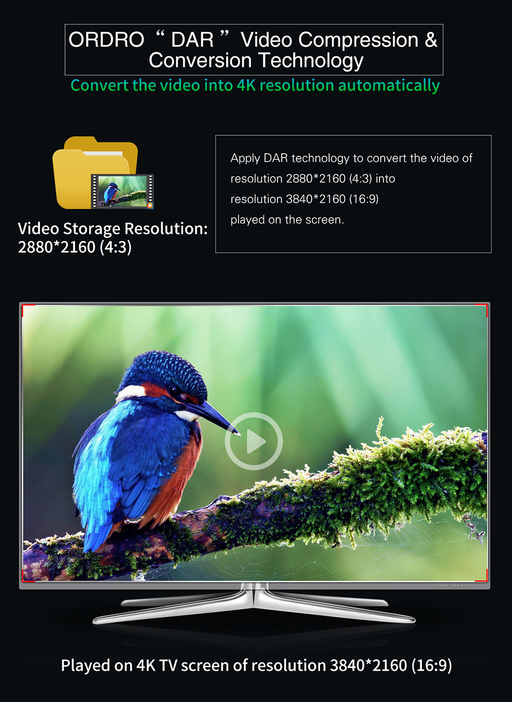 Sony Digital Camera Prices in China - Best Buys in 2024