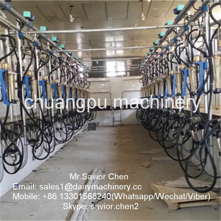 Dairy Farm Automatic Milking System - Efficient & Reliable