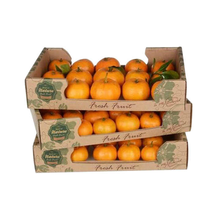 Fresh Fruit Corrugated Outer Carton Box Packaging by Haoty
