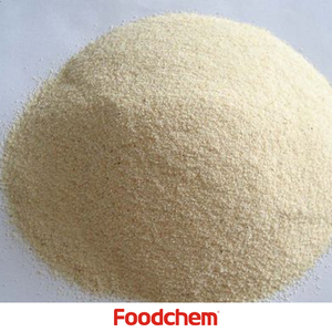 Garlic Powder for Cattle - Feed Grade Antibacterial Agent