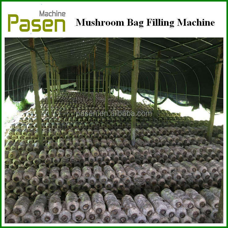 How to Choose the Best Substrate Packing Machine: A Complete Buyer's Guide