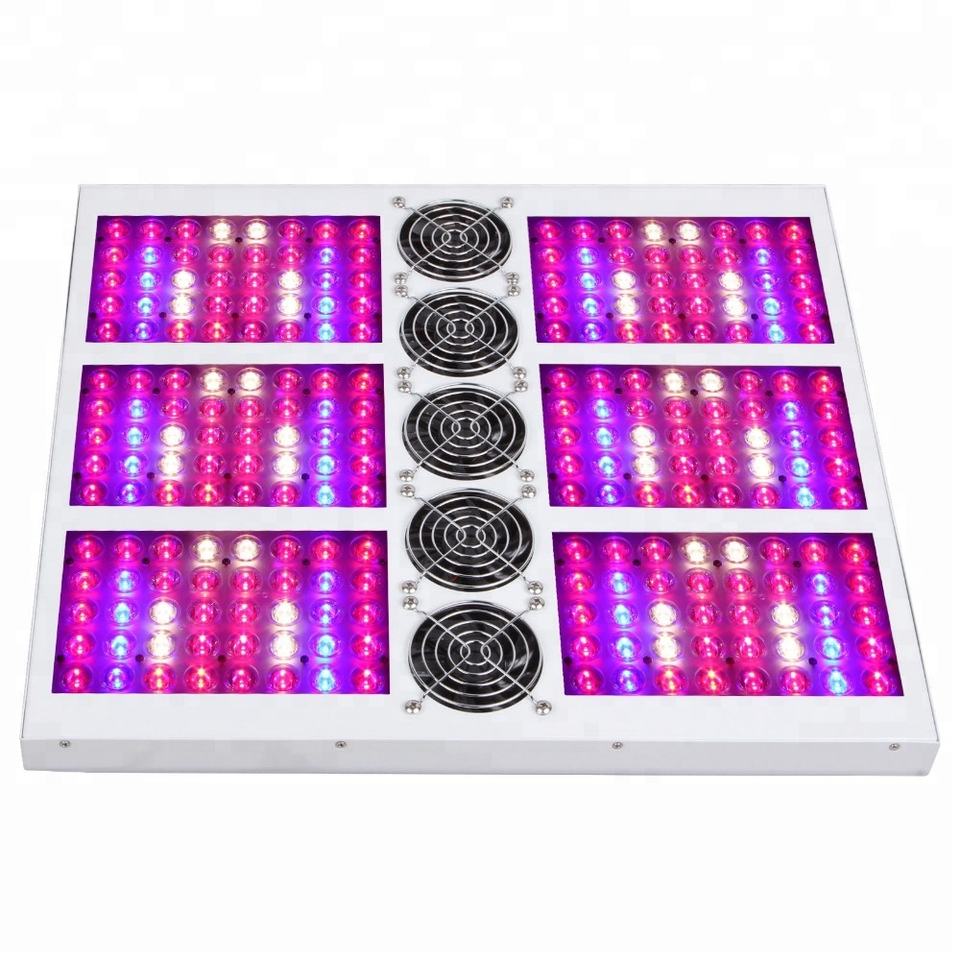 2018 全光谱 RGB 温室 3gp 国王 led 生长灯| Alibaba.com