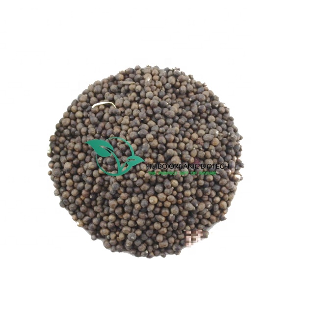 How to Choose Vitellaria Paradoxa Seeds: A Complete Buyer's Guide