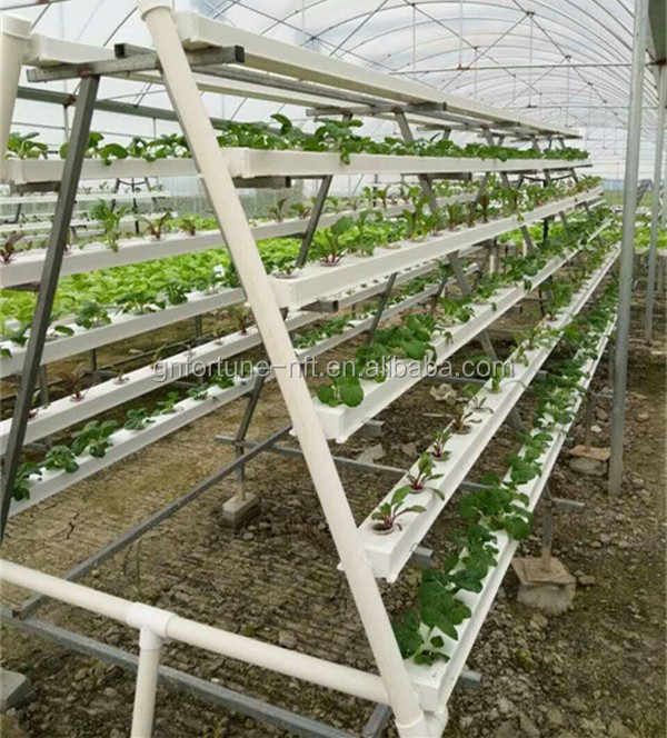 Greenhouse Hydroponic Vegetables - Vertical Farming PVC Pipe System