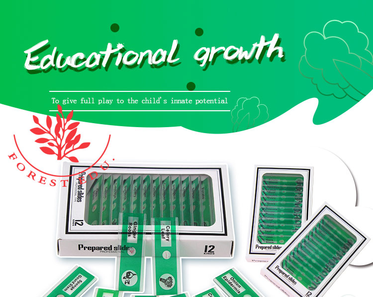 Children Educational Biological Sample Microscope Slides 12PCS Green ...