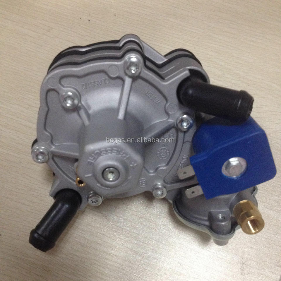 LPG Biogas Conversion Kit for Gasoline Generators