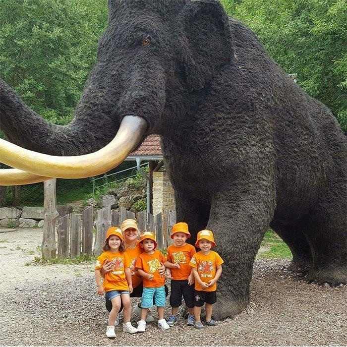 Life Like Animatronic Zoo Animal Models for Sale