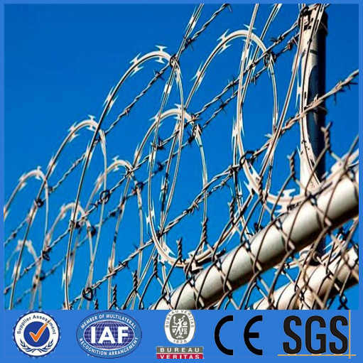 Razor Barbed Wire - Durable Protection for Grasslands