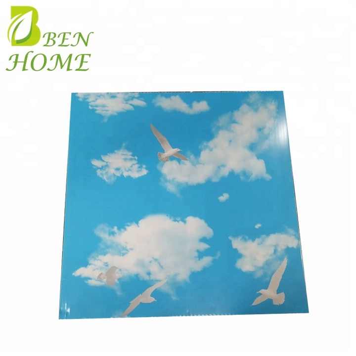 Philippines 60x60 Blue Sky PVC Ceiling Panels - Low Price