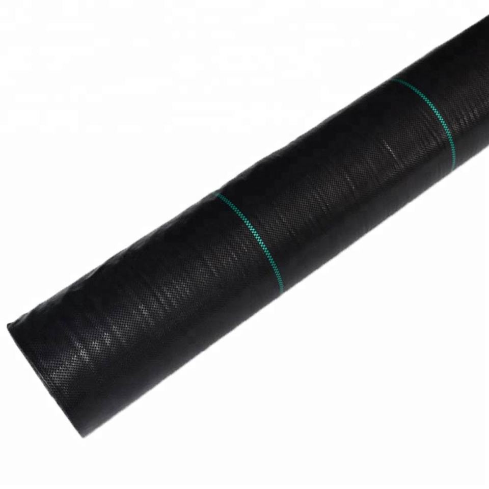 PP Plastic Anti-Grass Ground Cover Weed Control Mat for Agricultural ...