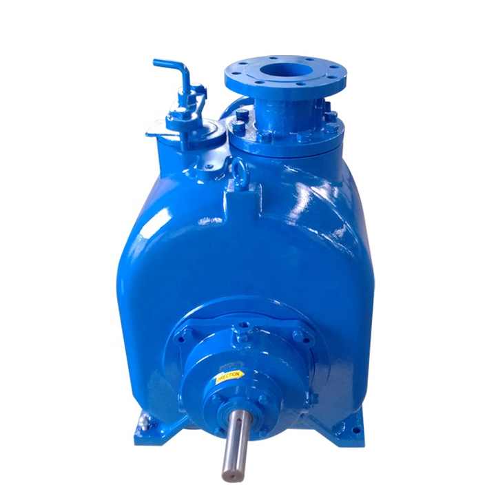 2 Inch 4 Inch 6 Inch Cast Iron Centrifugal Ballast Pumps
