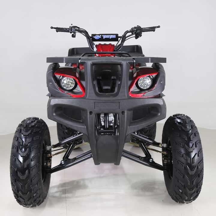 Tao Motor Bull 250cc - All Terrain Vehicle for Adults
