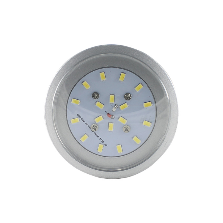 Illuminate Your Space with Energy-Efficient led pure white light bulb ...
