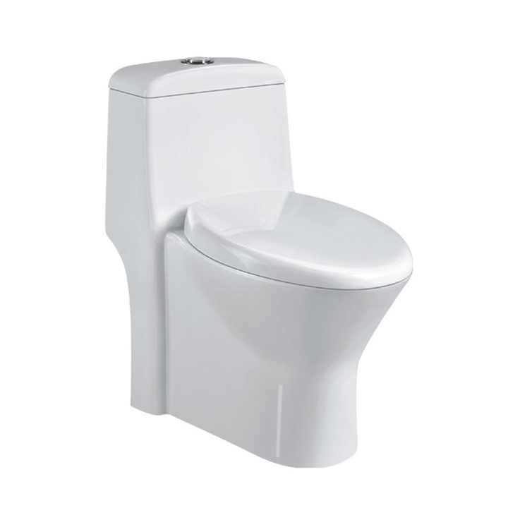 Peeping Chinese Girl Pissing Ceramic Toilet