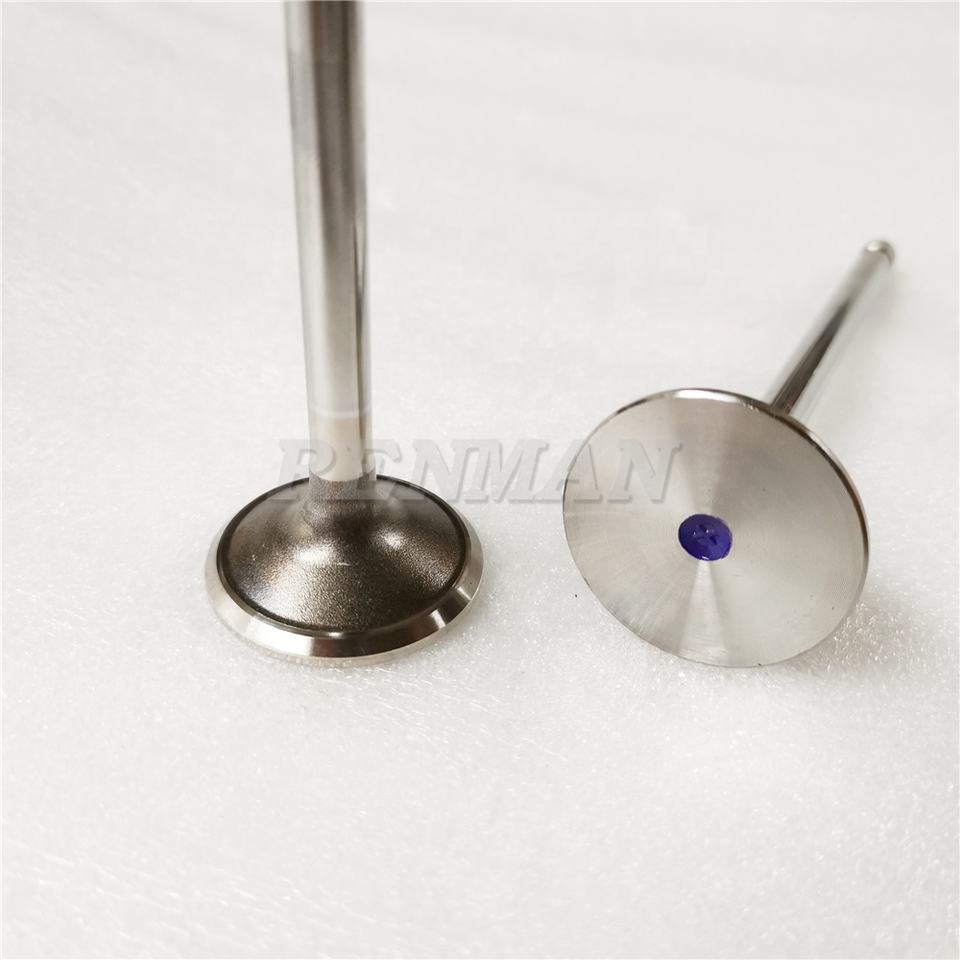Cummins Engine Parts - Intake & Exhaust Valves 6L ISLE QSL