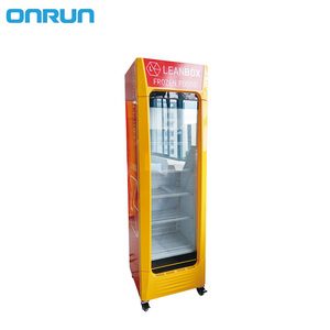 SD-288B commercial nestle stand up chest freezer for ice cream