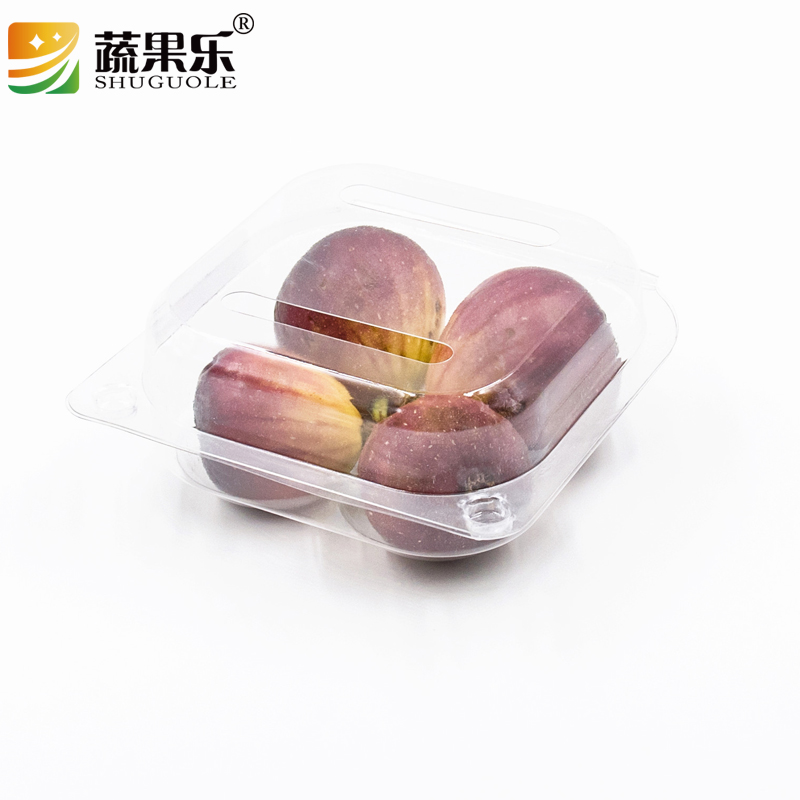 Fruit Packing Boxes - Durable & Efficient Solutions