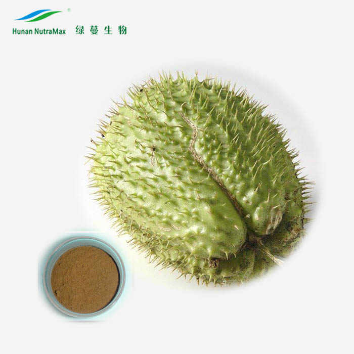Graviola Leaf Extract - Natural Herbal Health Supplement