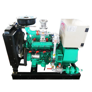 15kW small biomass power/wood chips generator