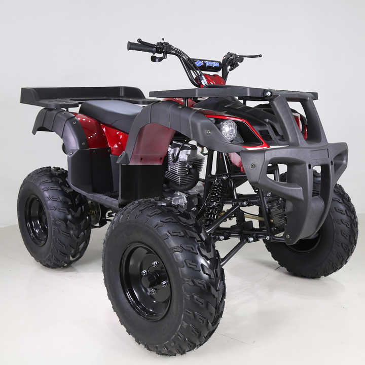 Tao Motor Steel Automatic Quad Bike 250cc - Adult ATV