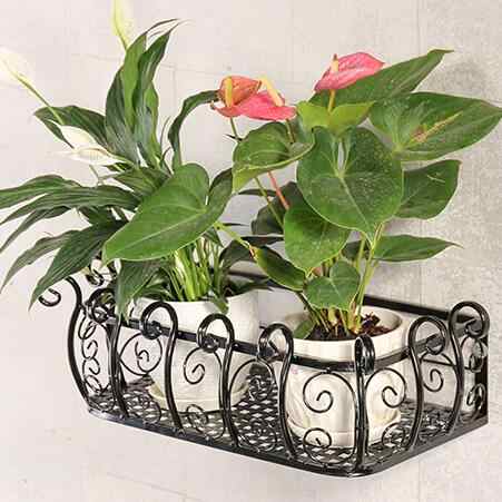 Galvanized Wrought Iron Window Planter Boxes - Elegant & Durable