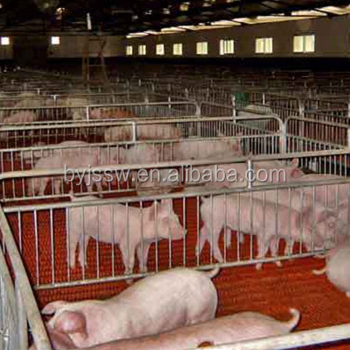 2025 Piggery Farm Equipment - Pig Farming Equipment High Quality