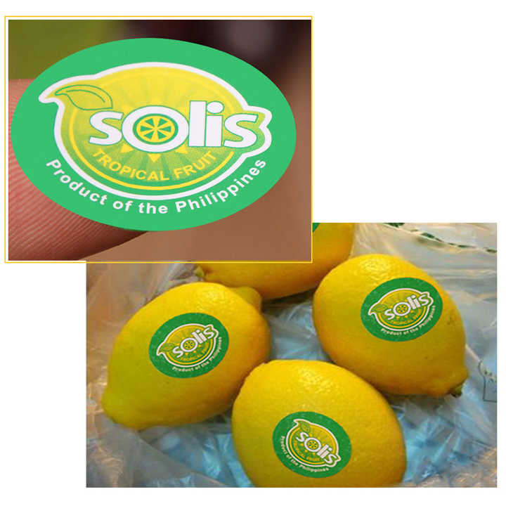 Custom Shapes Edible Fruit Stickers - Safe & Durable