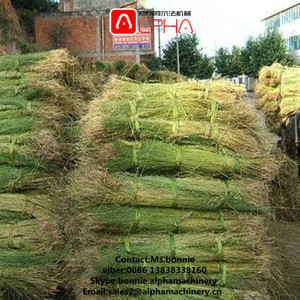 Philippines Abaca Fiber Decorticator - Efficient & Durable