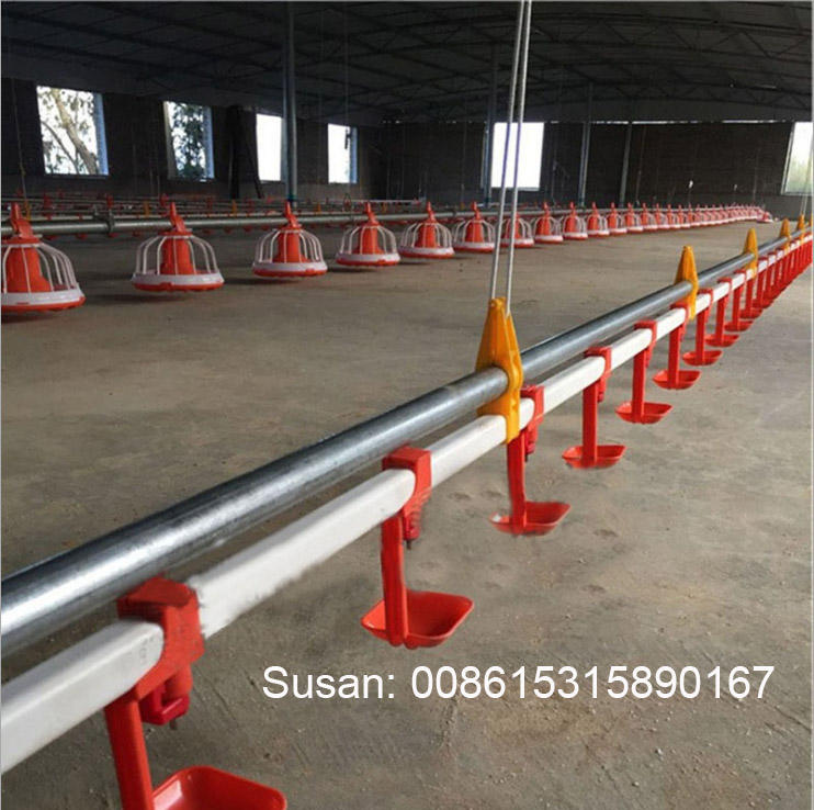 Broiler Feeding Line - Efficient Poultry Feeders & Drinkers
