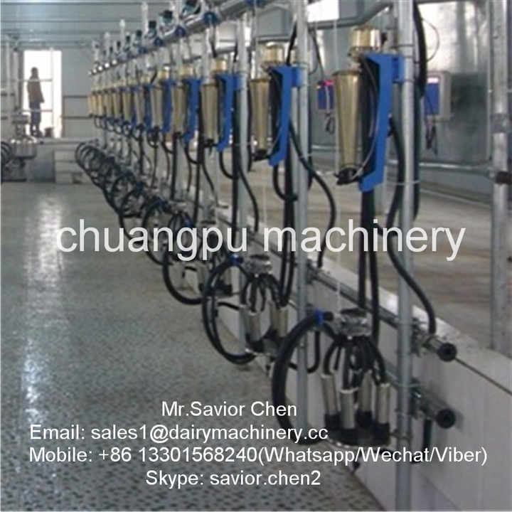 Dairy Farm Automatic Milking System - Efficient & Reliable