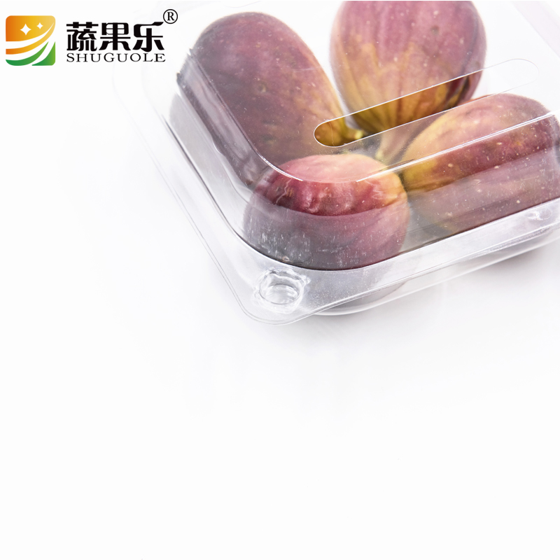Fruit Packing Boxes - Durable & Efficient Solutions