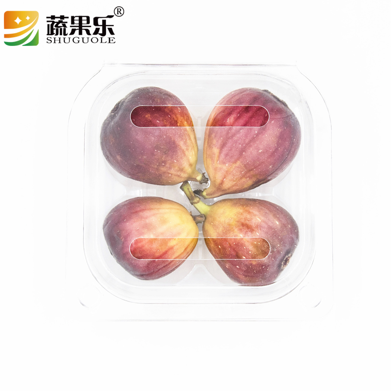 Fruit Packing Boxes - Durable & Efficient Solutions