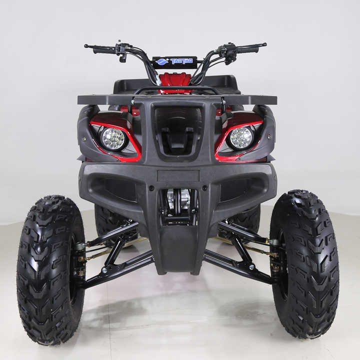 Tao Motor ATA250-D 4x4 ATV Quad - Ultimate off-Road Performance