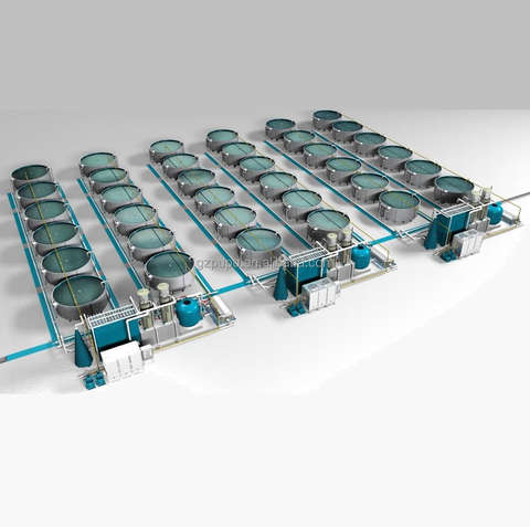 Recirculating Aquaculture System - Efficient Fish Breeding