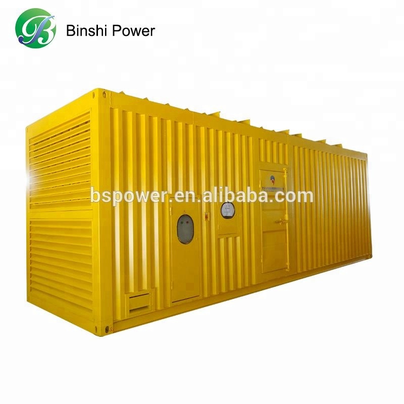 Eco-Friendly Biogas Generators - Reliable Power Solutions