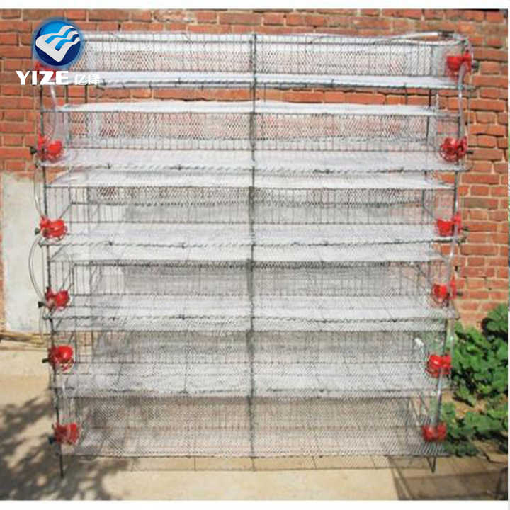 Quail Cage With Automatic Feeding System| Alibaba.com