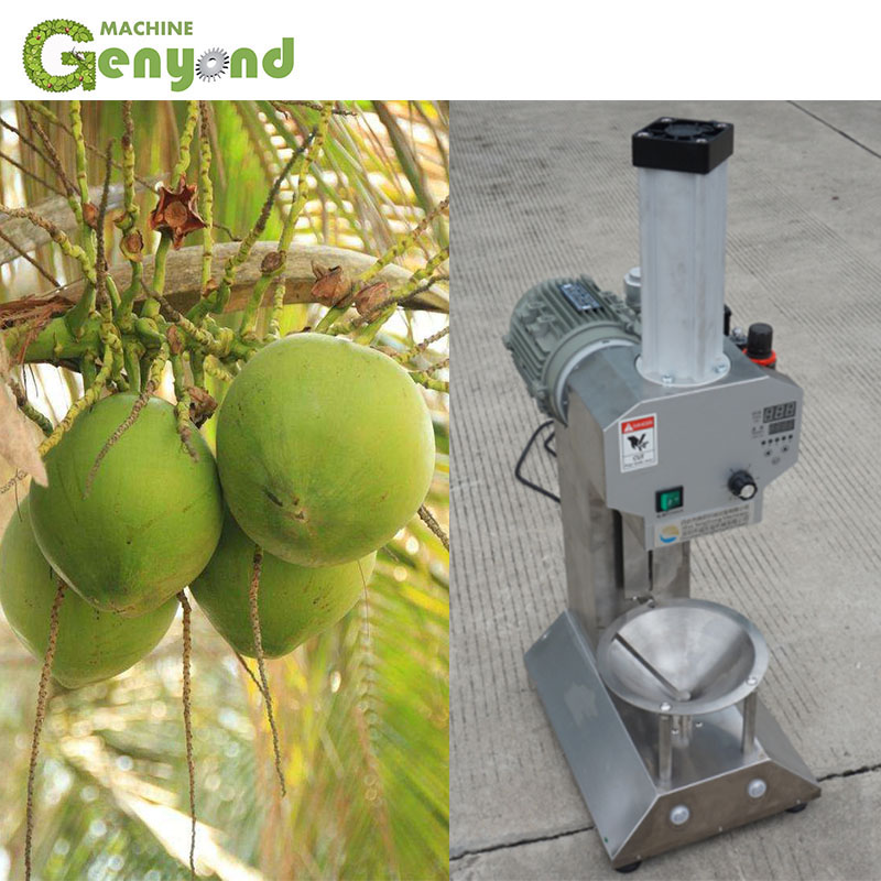 Coconut Peeling Machine - High Performance 2025 Model