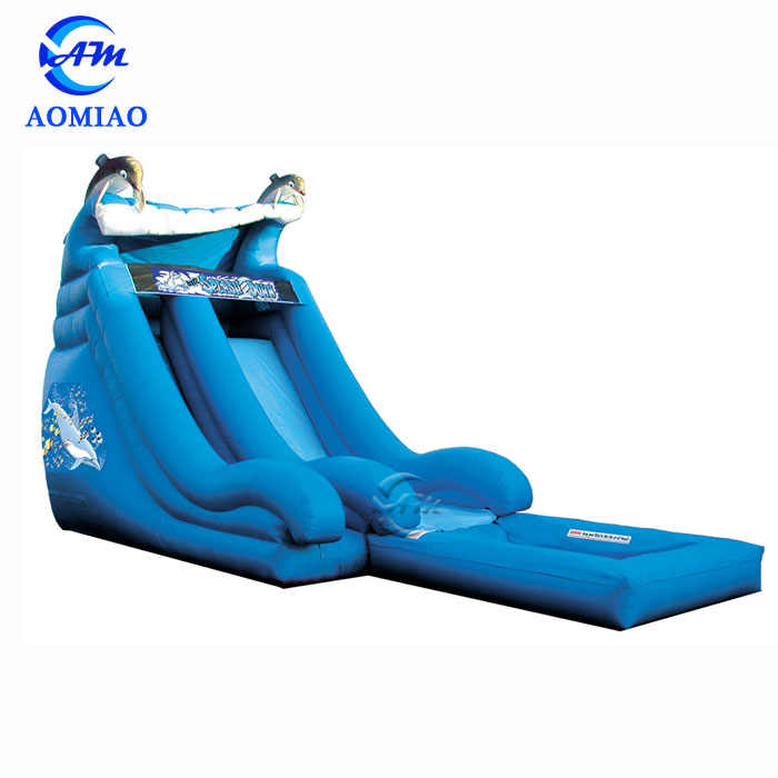 Commercial Largest Water Slide - Giant Inflatable Fun