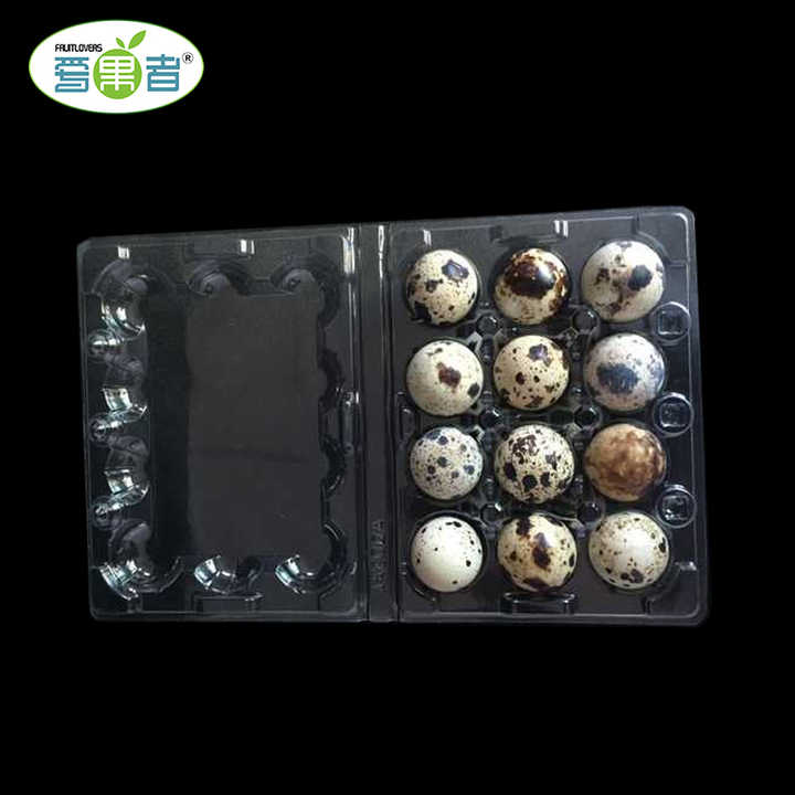 Quail Egg Trays - Durable and Clear PET Plastic Containers