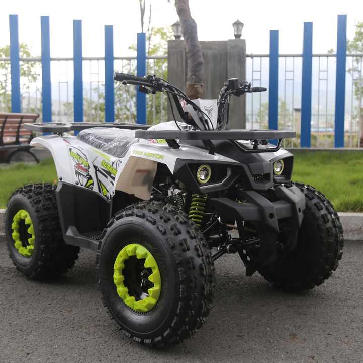 Tao Motor Farm ATV 125 - Versatile 125cc ATV for Fun & Work