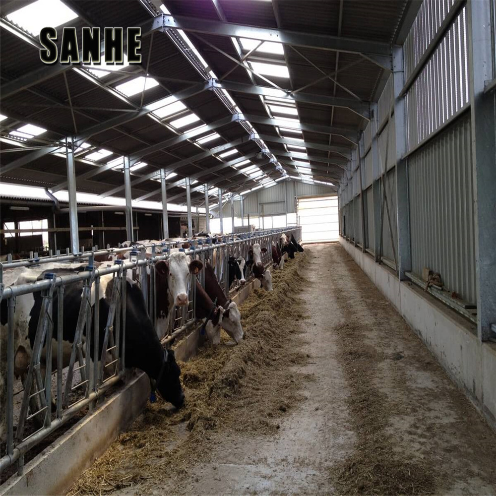 Modern Dairy Farming Shed Design - Prefab Steel Structure