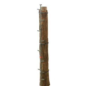 Api Climbing Sticks