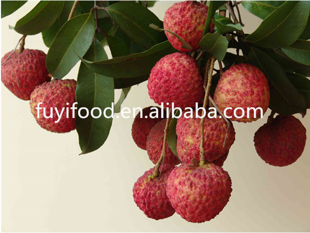 SEASONAL CHINESE FRESH LYCHEE - Sweet & Red Skin Litchi