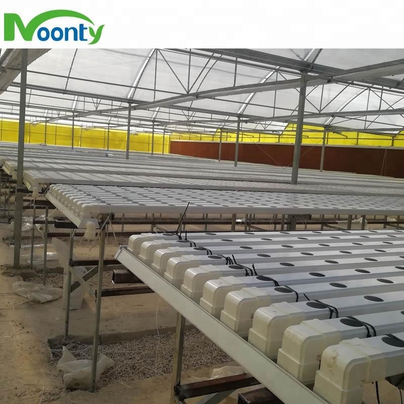 How to Choose the Best NFT Hydroponic System Over $1000: Expert Buying ...