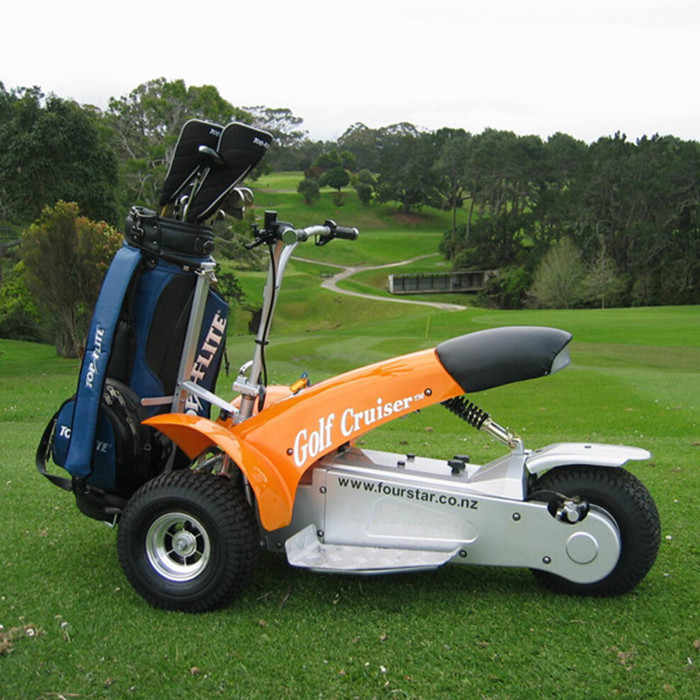 Harley Davidson Three Wheel Golf Cart - Electric, Customizable, CE ...